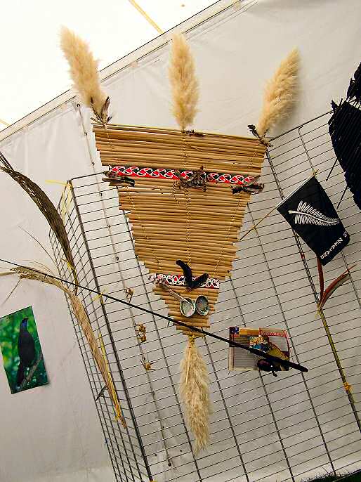 Reedmace, a plant (not only) in kite-building; Rohekolbe, eine Pflanze ...